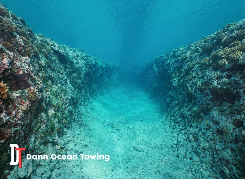 Reef Builder: How Does it Help the Ocean Environment?